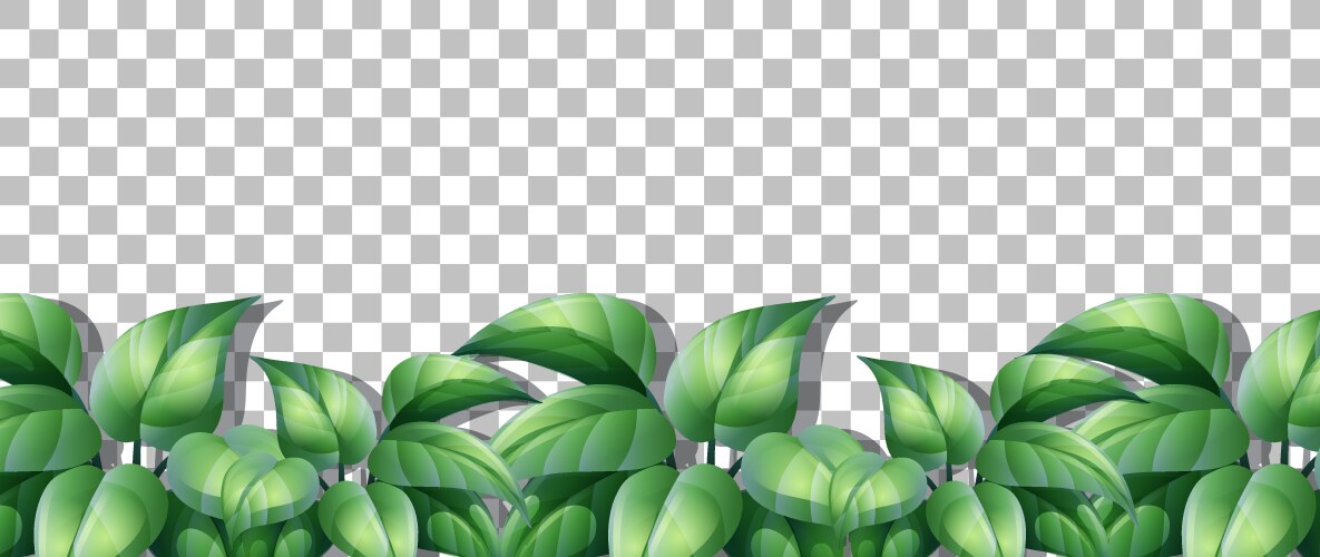 Grass and plants on transparent background Vector Image