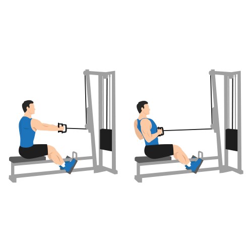 Seated Cable Row Vector Images (16)