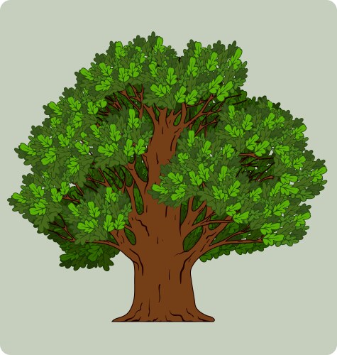 A big old tree Royalty Free Vector Image - VectorStock