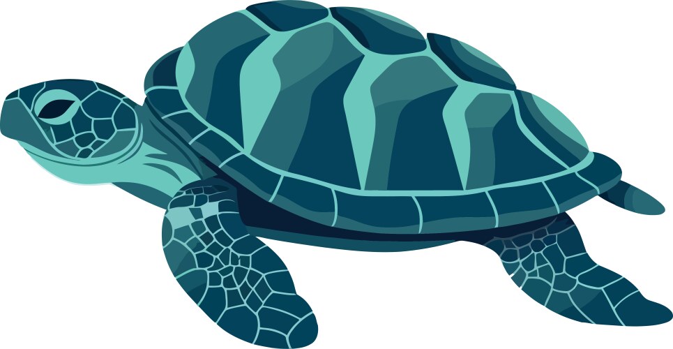 Sea turtle color Royalty Free Vector Image - VectorStock