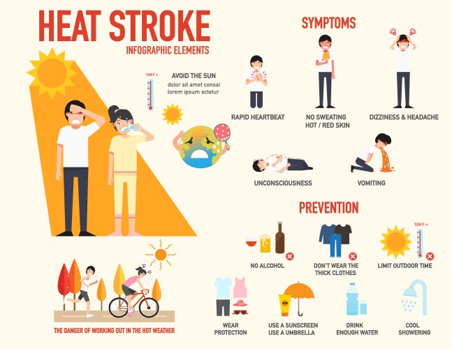 Stroke symptoms and preventions poster with text Vector Image