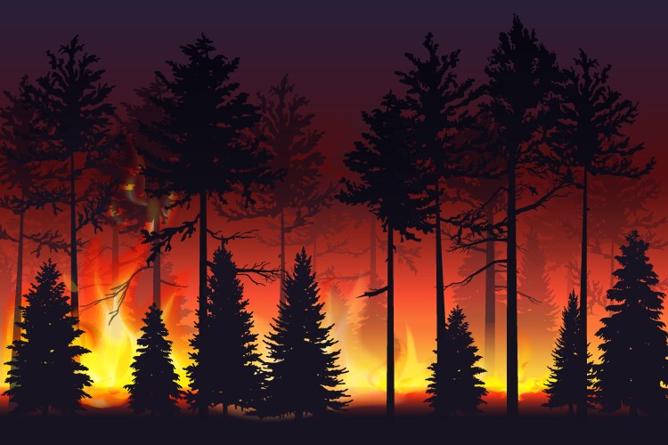 Woodland eco banner fire in forest wildfire Vector Image