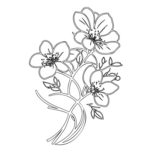 Sakura flower outline sketch Royalty Free Vector Image