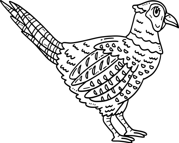Pheasant Outline Vector Images (over 430)