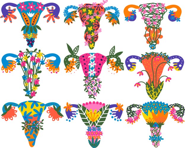 Female Reproductive System Vector Images (over 4,600)