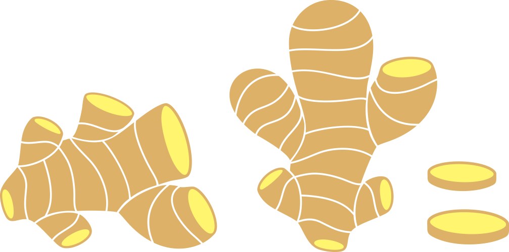 Ginger Royalty Free Vector Image - VectorStock