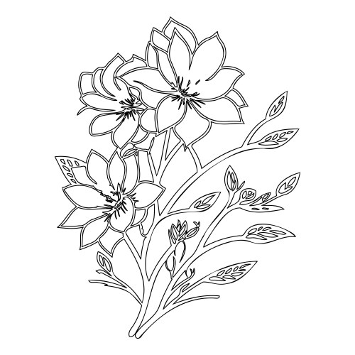 Sakura flower outline sketch Royalty Free Vector Image