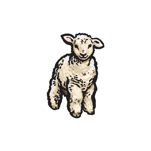 Cartoon Lamb Vector Images (over 15,000)
