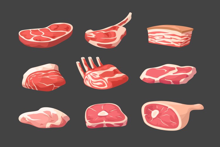Meat products icon set Royalty Free Vector Image