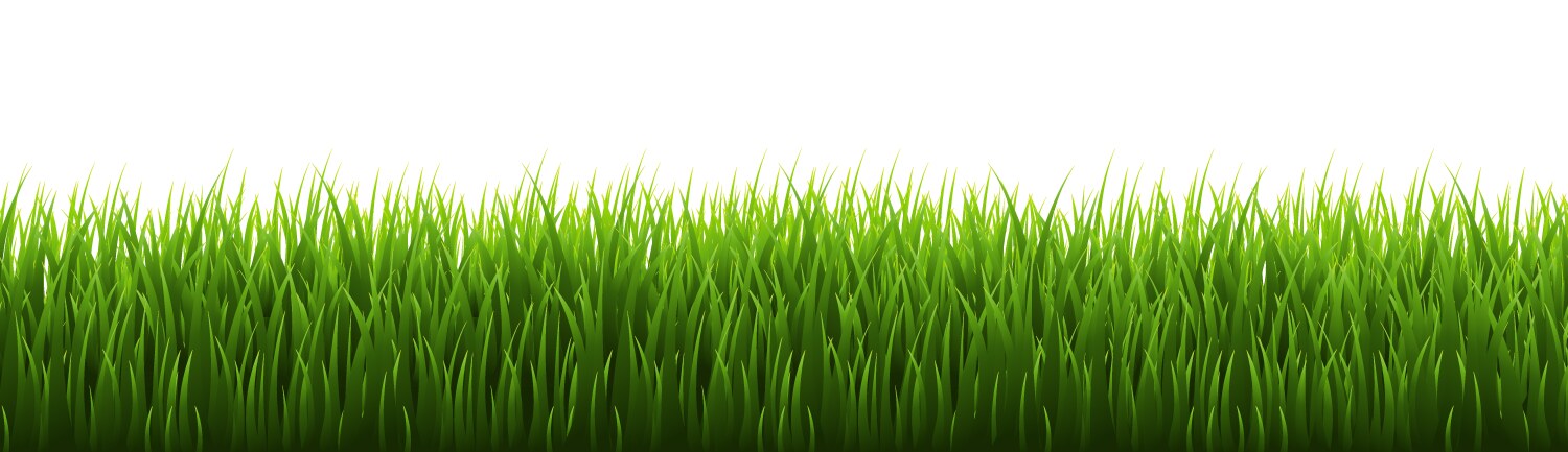 Light Green Background Vector Images (over 350,000)