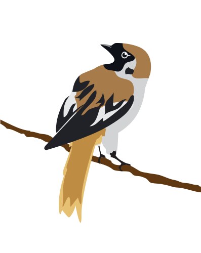 Sparrow Vector Images (over 13,000)
