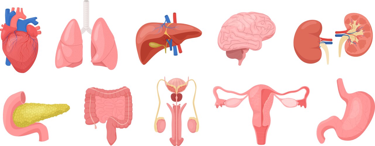 Internal Vector Images (over 490,000)