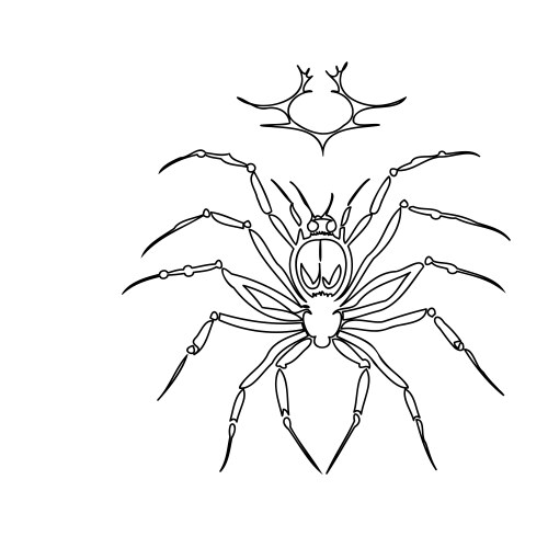 Spider halloween outline sketch Royalty Free Vector Image