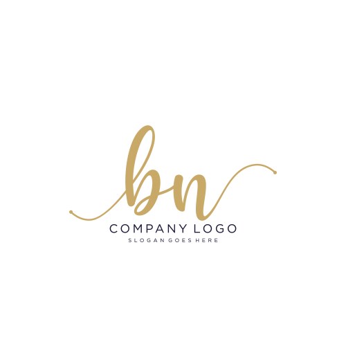 Bn initial handwriting logo with circle template Vector Image
