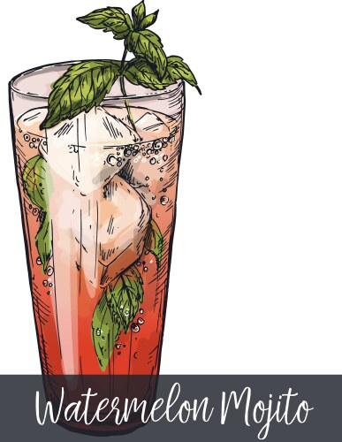 Mojito fresh cocktail Royalty Free Vector Image