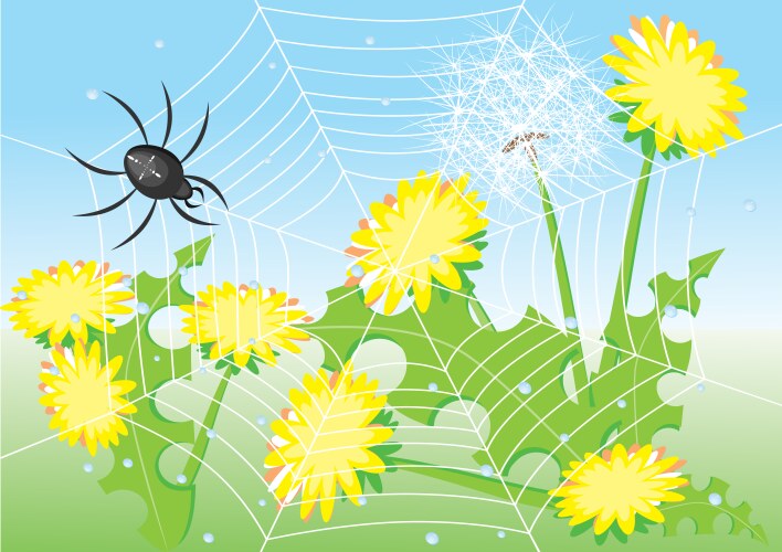 Spider Web Cartoon Vector Images (over 19,000)