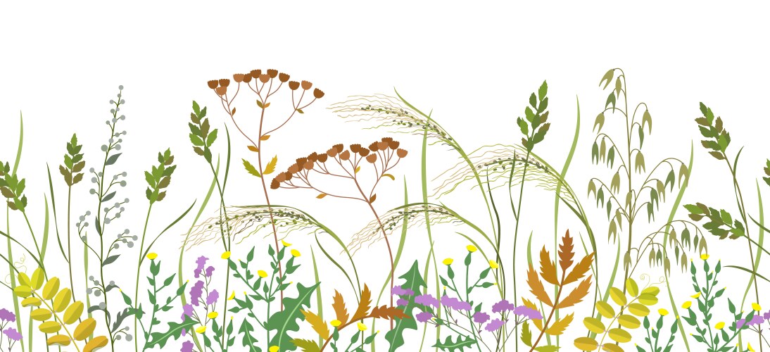 Seamless border with wild flowers and butterflies Vector Image