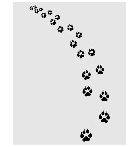 Dog Footprints Vector Images (over 19,000)