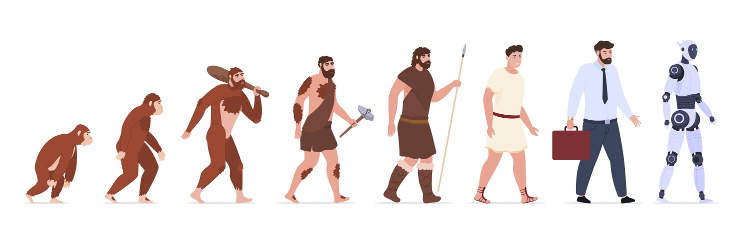 Biology human evolution stages evolutionary Vector Image