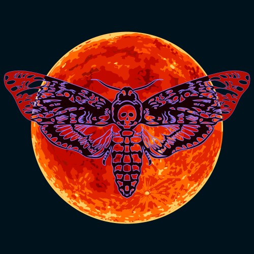 Skull moon head Royalty Free Vector Image - VectorStock