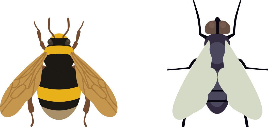 Insects icons flat set Royalty Free Vector Image