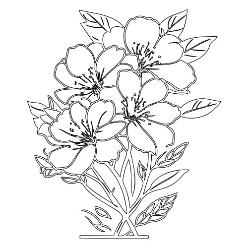 Sakura flower outline sketch Royalty Free Vector Image