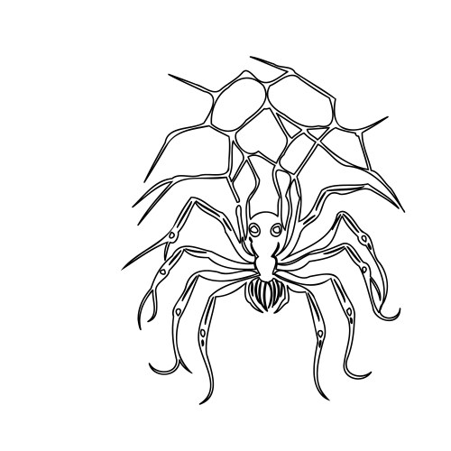 Spider halloween outline sketch Royalty Free Vector Image