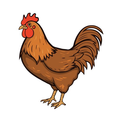 Chicken Vector Images (over 220,000)