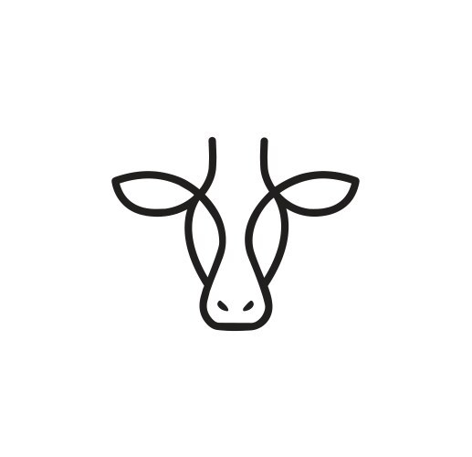 Highland cow head design on white background Vector Image