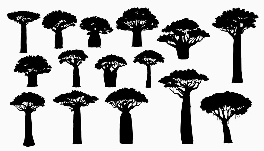 Baobab Tree Silhouette Vector Images (over 570)