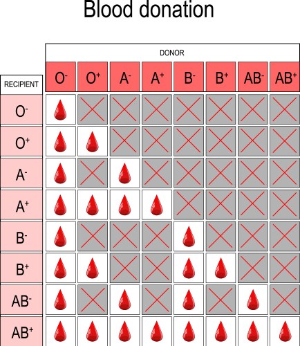 Background table about hematology blood type Vector Image