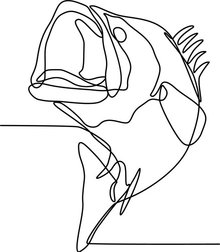 Striped Bass Line Drawing Royalty Free Vector Image