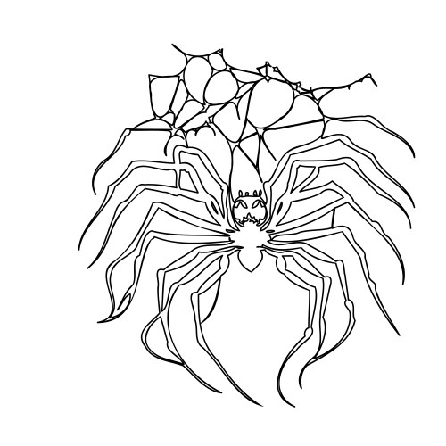 Spider halloween outline sketch Royalty Free Vector Image