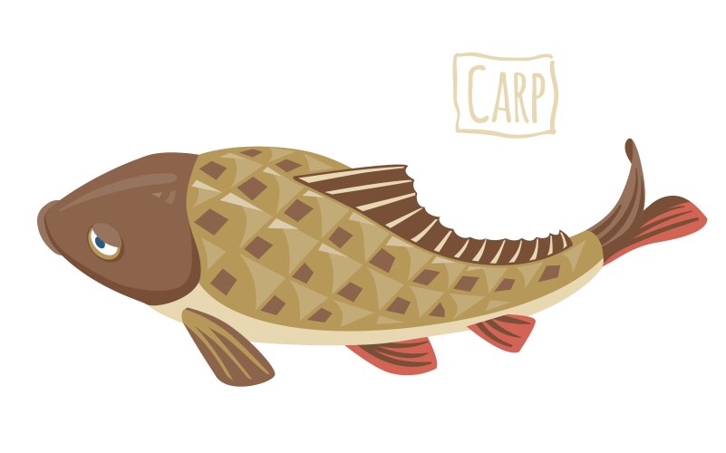 Common Carp Vector Images (over 450)