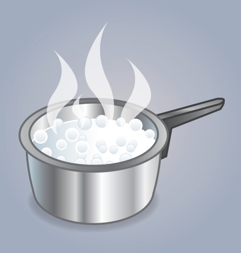 Boiling water in aluminium pot on gas flame Vector Image