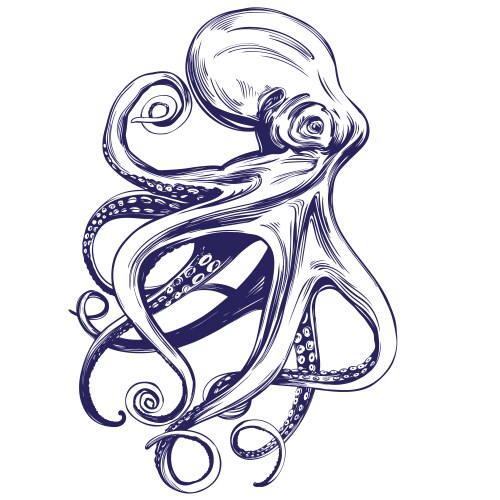 Octopus the pirate Royalty Free Vector Image - VectorStock