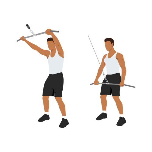 Man doing cable triceps kickbacks exercise Vector Image