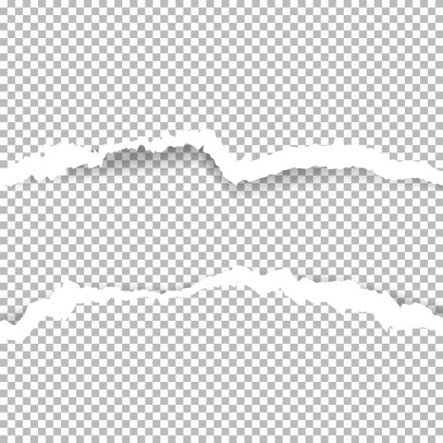 Ripped paper Vector Images & Graphics for Commercial Use | VectorStock