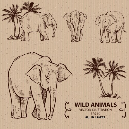 Elephants Vector Images (over 86,000)