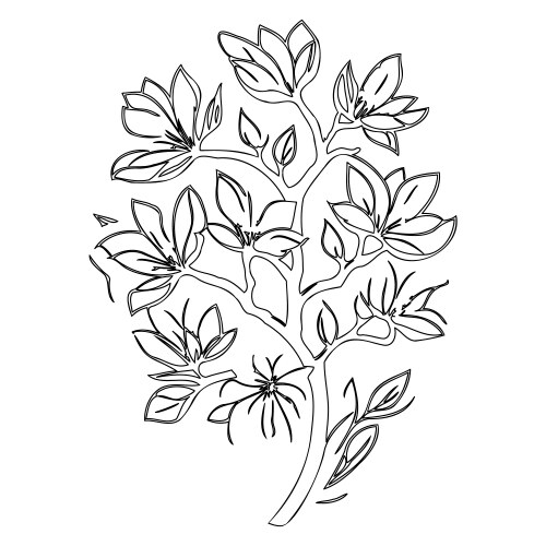 Sakura flower outline sketch Royalty Free Vector Image