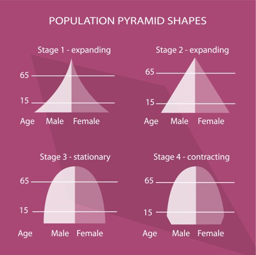Four different types of population pyramids graphs