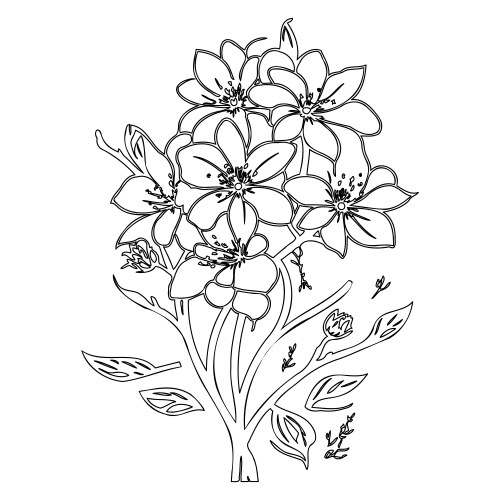 Sakura flower outline sketch Royalty Free Vector Image