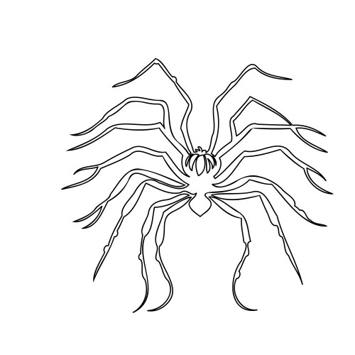 Spider halloween outline sketch Royalty Free Vector Image