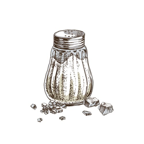 Doodle salt shaker Royalty Free Vector Image - VectorStock
