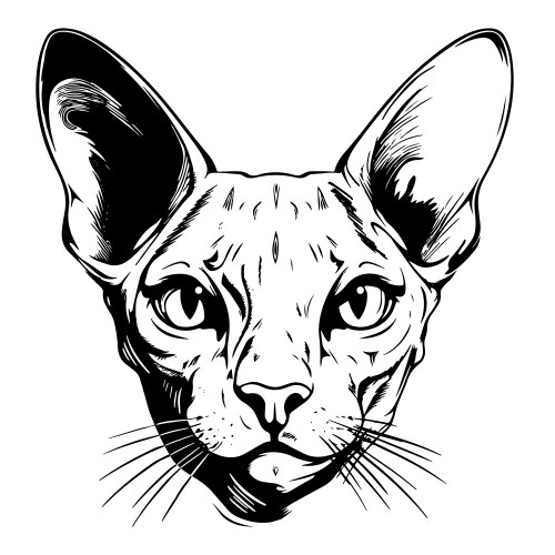 Lynx face hand drawn sketch Royalty Free Vector Image