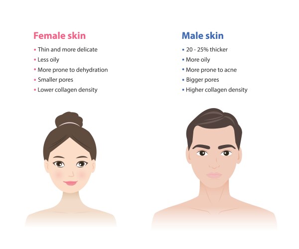 Gender Infographics Vector Images (over 2,800)