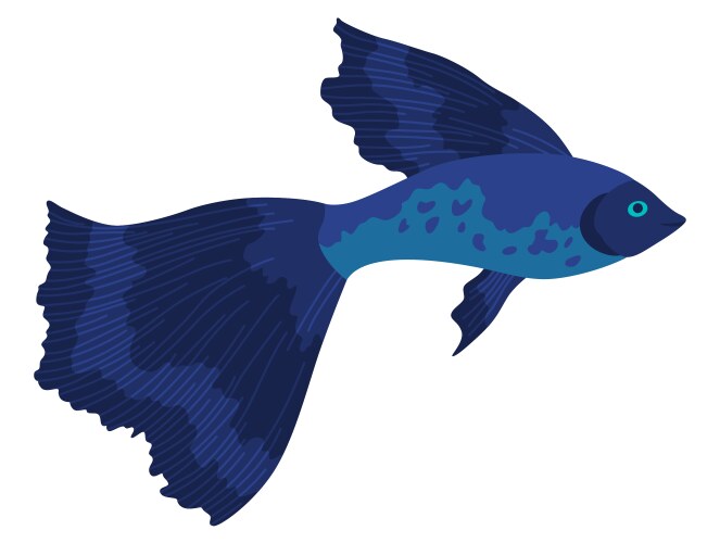 Aquarium fish set beautiful underwater characters Vector Image