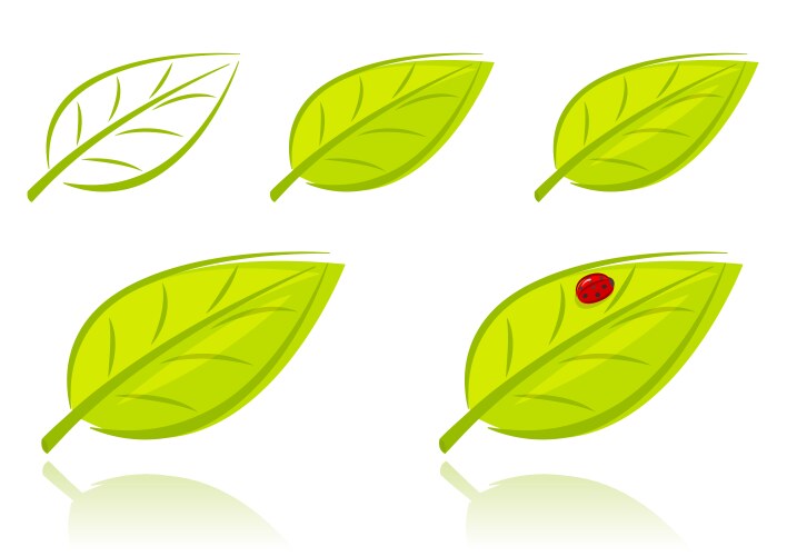 Leaf Vector Images (over 2.1 million)