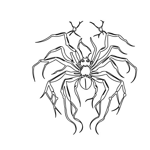 Spider halloween outline sketch Royalty Free Vector Image