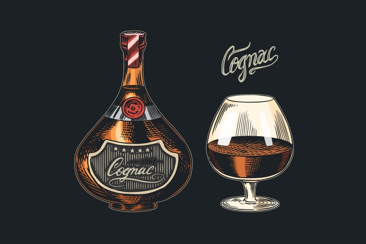 Bottle of absinthe label for retro poster Vector Image